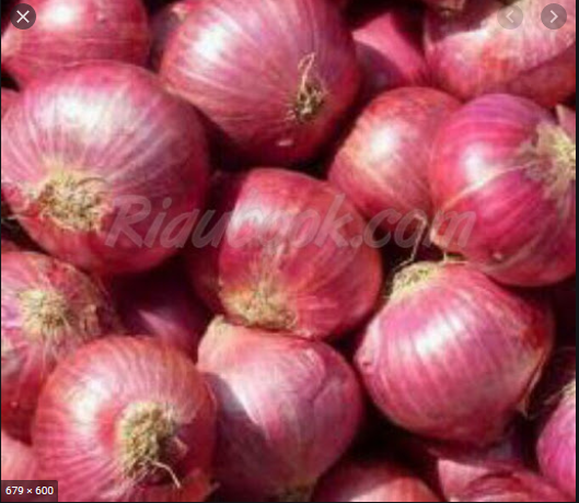 JUALAN RAHMAH 4 HARI --1 GUNI sederhana+FREE 400G+freegift - BAWANG ...