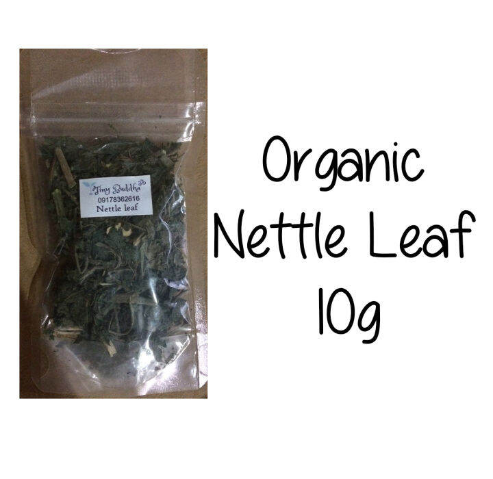 Organic Nettle leaf leaves loose dried tea 10g | Lazada PH