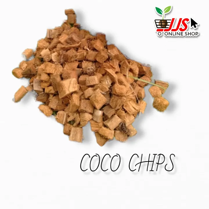 🛒 JJS Store | Coco Chips 250g | Pure and Organic Coconut Husk Chips ...