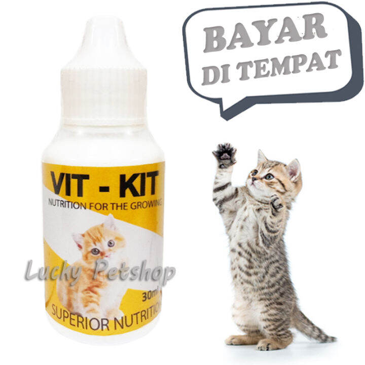 Penggemuk Kucing Kecil VIT KIT Penambah Nafsu Makan Kitten Lemas Kurus ...