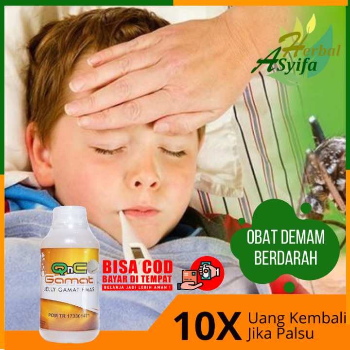 Obat Demam Berdarah - Sakit Kepala, DBD, Menggigil, Mual & Muntah, Ruam ...