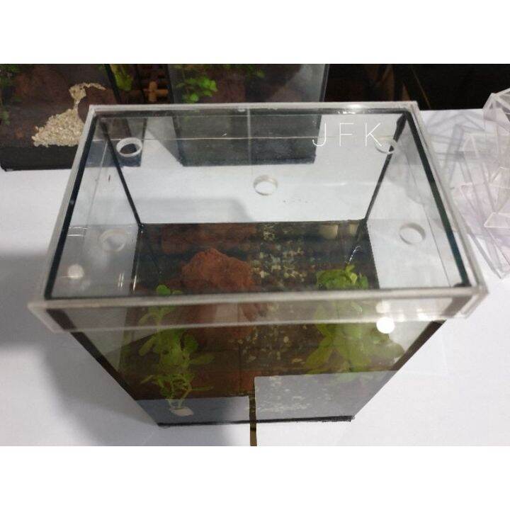 Betta Tank Cover (LID) | Lazada PH
