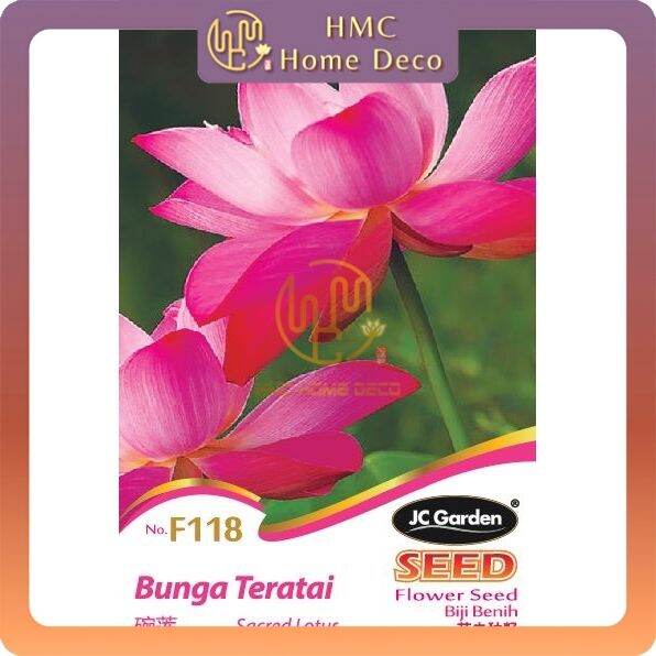 F118 SACRED LOTUS JC GARDEN FLOWER SEED BIJI BUNGA TERATAI | Lazada