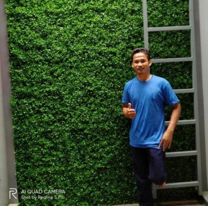 RUMPUT DINDING/DAUN DINDING PREMIUM 60X40 CM/DAUN SINTETIS/DAUN DOLAR ...