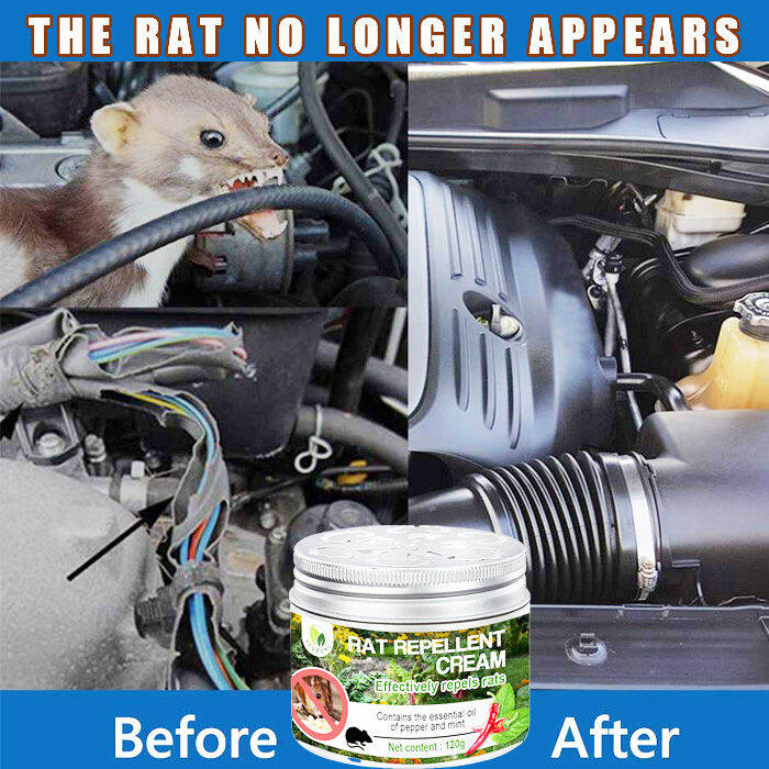 Rat poison killer Rat repellant Lason sa daga Mouse repellent for home ...
