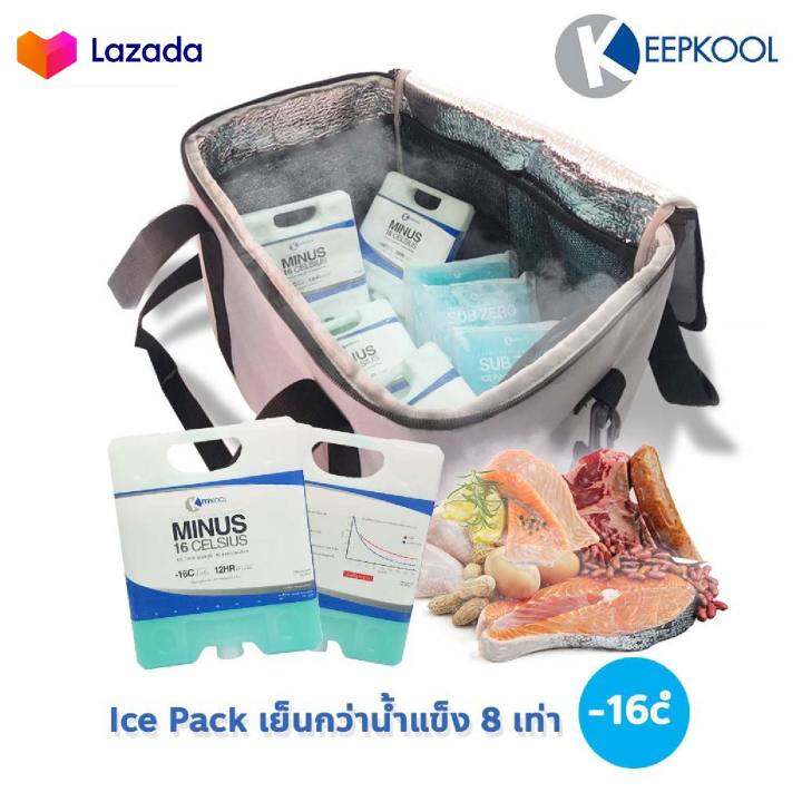 Minus -16 °C (จัดเซ็ทราคาถูก) ICE PACK 750g. เก็บความเย็น เจลเก็บความ ...