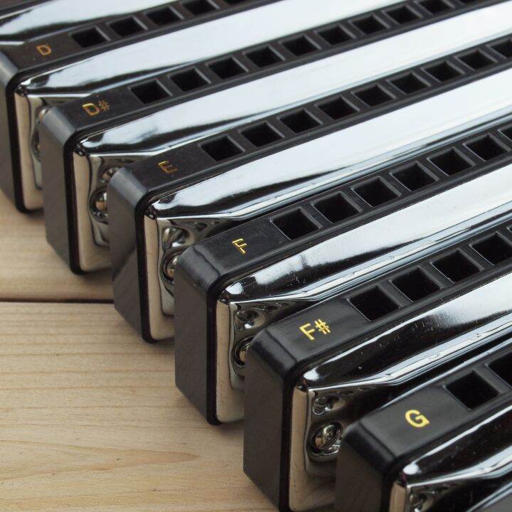 East Top Blues Harp Set Professional 10 Hole Harmonica Set With 12 Keys ...