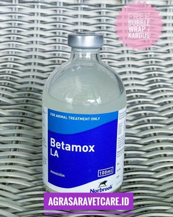 Betamox LA 100 ml Amox 100ml | Lazada Indonesia
