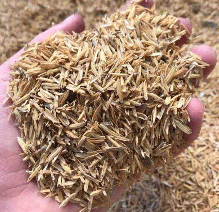 1 sack of Fresh Rice Hull Organic fertilizer Pure Fresh Rice Hull ...