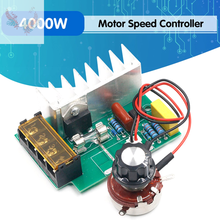 EOY 4000W 0-220V AC SCR Electric Voltage Regulator Motor Speed ...