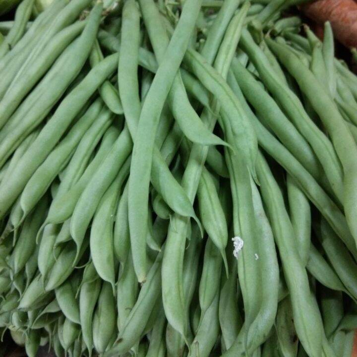 Sayur Segar Buncis / Green Beans 100 gr / 1 kg | Lazada Indonesia