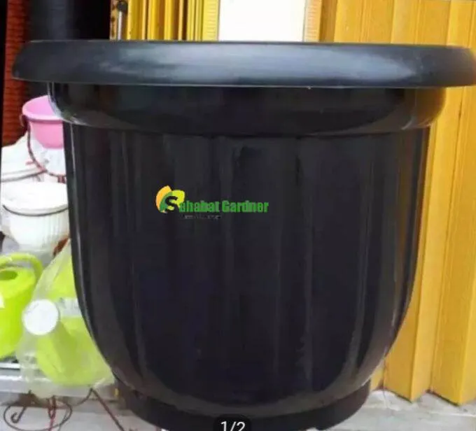pot besar ukuran 50 cm/pot tanaman Gloria ukuran 50cm | Lazada Indonesia
