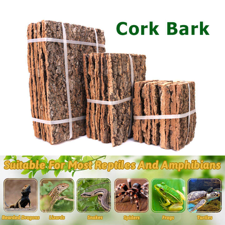 Natrual Wood Cork Bark for Tarantula Reptile Hide Cave | Lazada PH