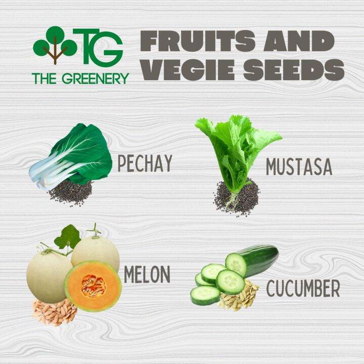 Fruits and Vegetable Seeds by The Greenery | Lazada PH