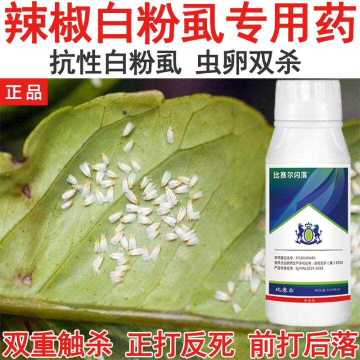 Pepper whitefly insecticide whitefly special pesticide bijoux ...