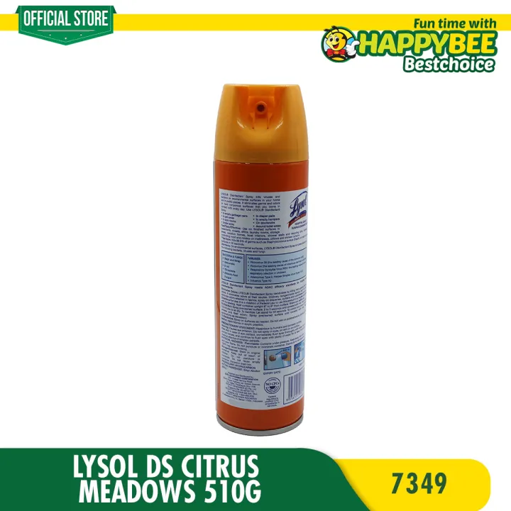 LYSOL DISINFECTANT SPRAY CITRUS MEADOWS 170G, 340G, 510G | Lazada PH