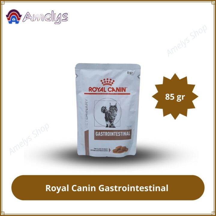 Royal Canin Gastrointestinal Cat Food Adult Cat Pouch Unit Lazada Ph