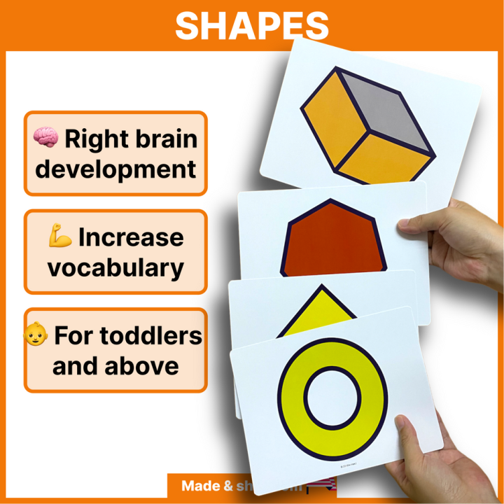 Shapes Flash Cards for Kids, Baby, Big Flash Card, Flashcard ...