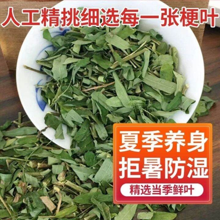 Genuine Guangxi chicken bone grass tea chicken bone grass leaves ...