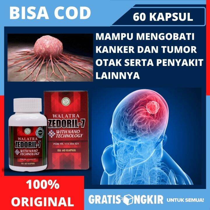 Obat Kanker Otak/Tumor Otak (Racikan Alami) - Bahan Herbal Untuk Kanker ...