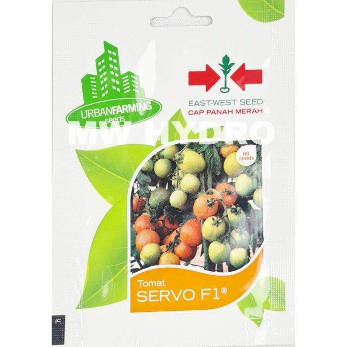 Benih Tomat SERVO F1 - Panah Merah / East West Seed | Lazada Indonesia