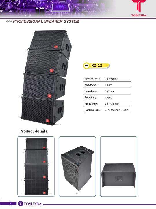 TOSUNRA XZ-12 LINE ARRAY SPEAKER BOX 5000W 8Ω | Lazada PH