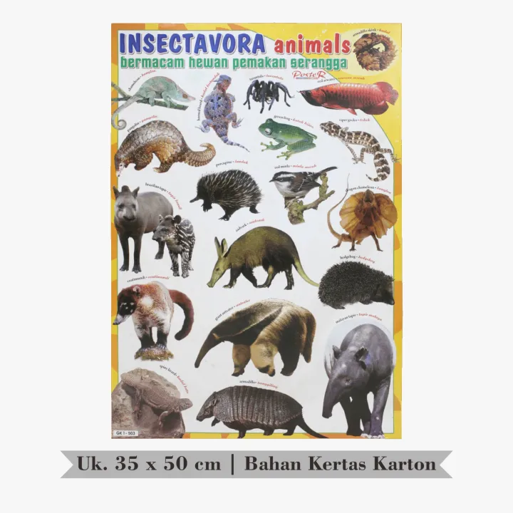 Poster Anak - Poster Edukasi Anak Lembaran – Herbivora / Carnivora ...