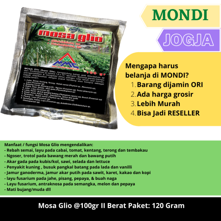 Mosa Glio Gliocladium sp Obat dan Fungisida Organik Untuk Mengatasi dan ...