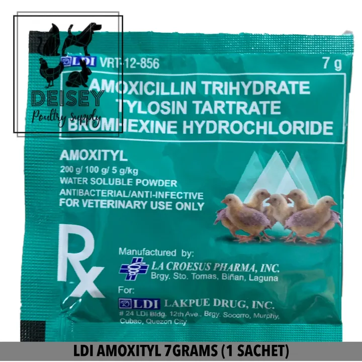 LDI AMOXITYL 7GRAMS (1 SACHET) | Lazada PH