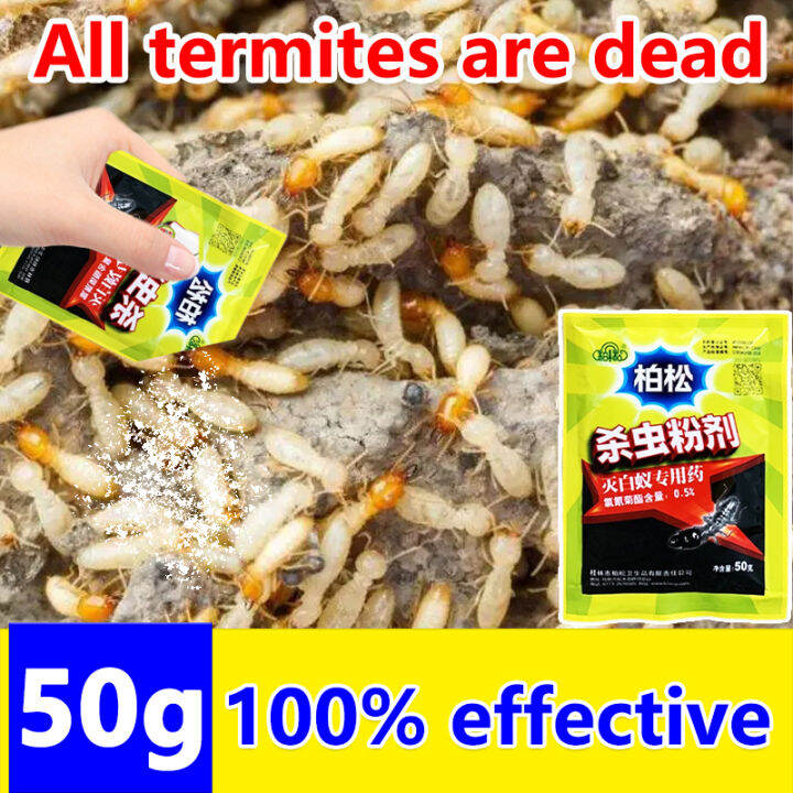 🐜All termites are dead🐜Termites killer powder 50gInfecting each other ...