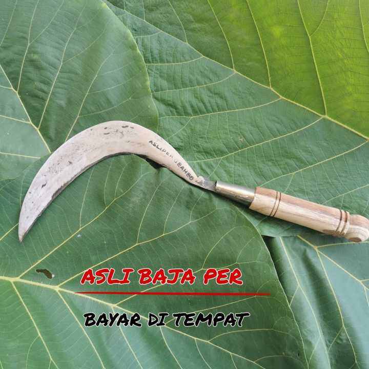 arit sabit baja per asli model madura putih - pengaritan rumput padi ...