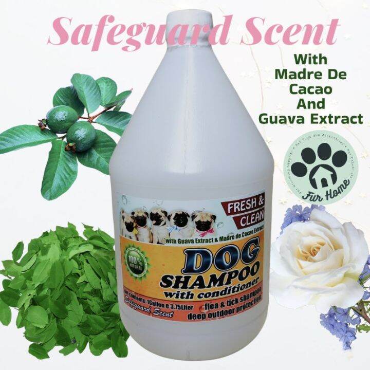 Safeguard Scent Madre de Cacao Cat/Dog Shampoo with Conditioner | Lazada PH