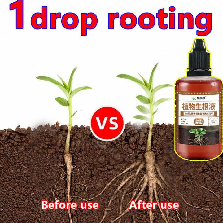 【3 days rooting】Plant root rooting hormone powder Plant super growth ...
