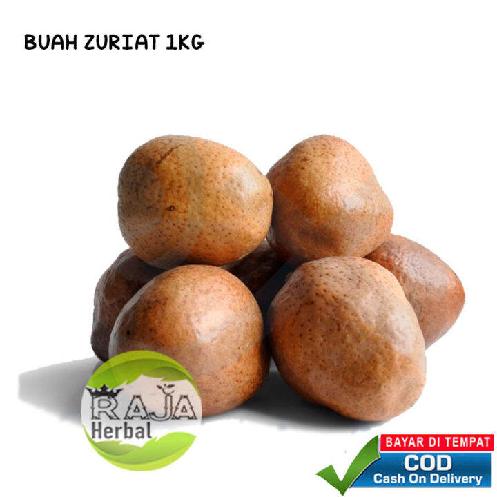 Buah Zuriat 1 kg zuriyat doum | Lazada Indonesia