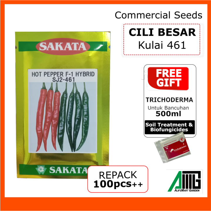 100pc++ CILI KULAI SAKATA 461 Benih F1 Hybrid Free Baja Trichoderma ...