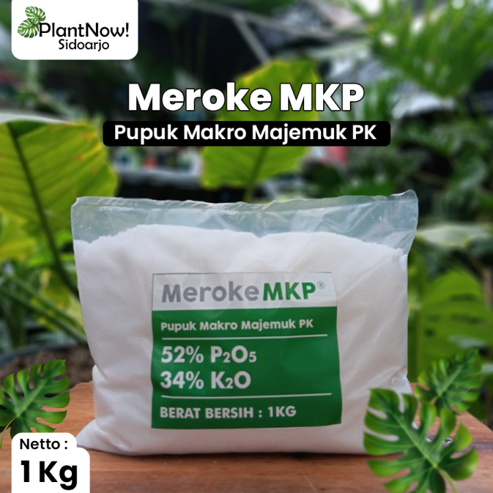 Pupuk / Nutrisi Tanaman - MKP Meroke - 1kg Repacking | Lazada Indonesia