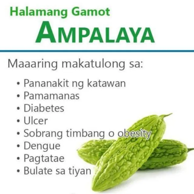 Ampalaya Benefits