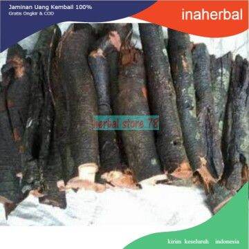 Akar Tuba/Jenu segar 1 kg organik /Akar tuba Super asli hutan | Lazada ...