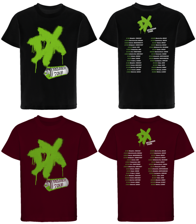 WWE D-Generation X "Reunion Tour" High Quality Big Graphic Printed ...