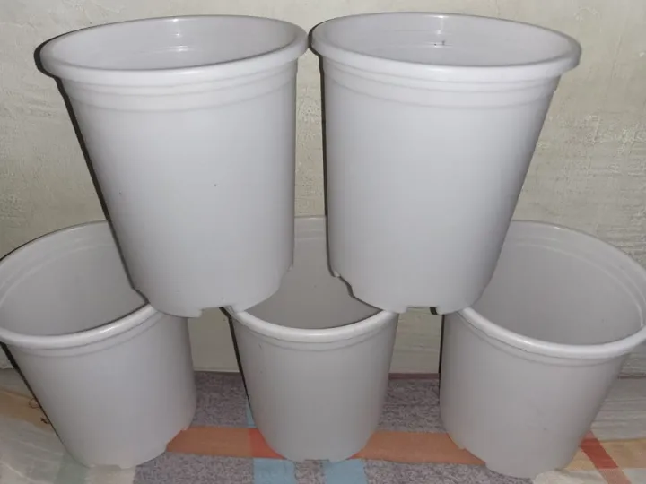 5PCS white round plant pots - 6x6 inches - puting paso 30 pesos each ...