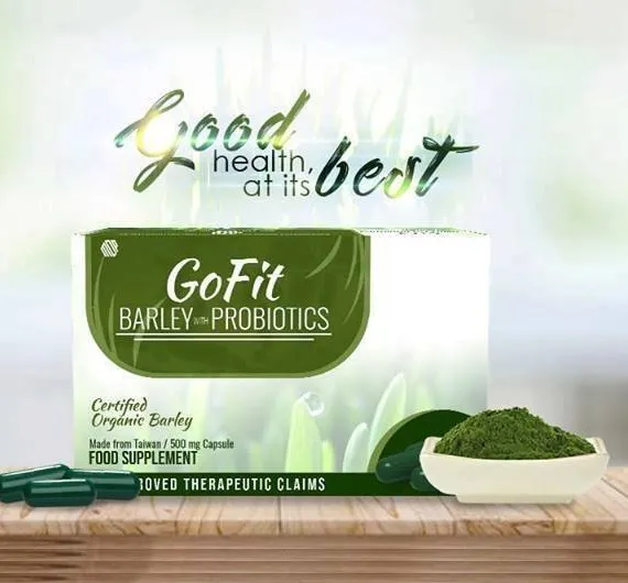 1 box Gofit Barley 60 capsules Organic Barley Healthy Supplement ...