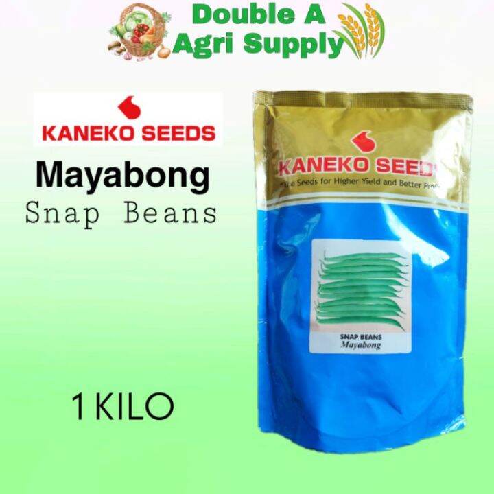 Mayabong Snap Beans - Kaneko Seeds | Lazada PH