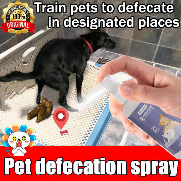 100ML Pet Toilet Training Spray Pet Potty Training Spray for Dogs and ...