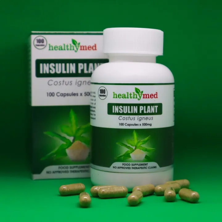 Healthymed Insulin Plant Capsule - Pure Organic Insulin Anti-Diabetic ...