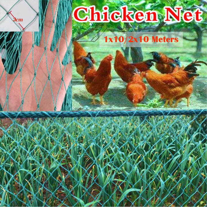 Chicken Net 1x10/2x10Meters Ranging Net Garden Net Barrier Net Poultry ...
