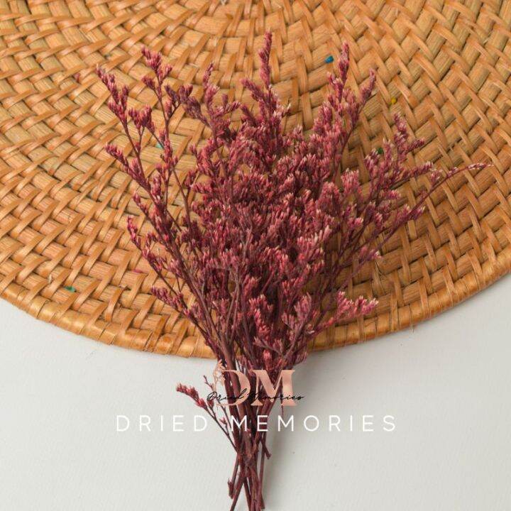 Dried Small Misty Preserved Dried Flowers | Dried Memories PH | Lazada PH