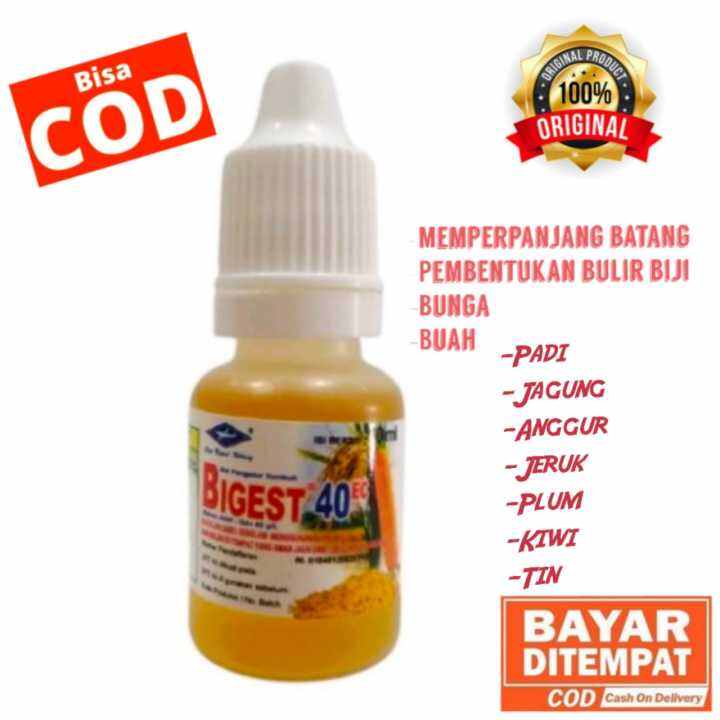 BIGEST 40 EC 10ML ZPT PEMBESAR BUAH | Lazada Indonesia