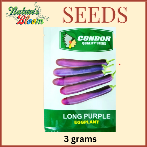 LONG PURPLE OPV EGGPLANT SEEDS (3 GRAMS) CONDOR SEEDS | Lazada PH