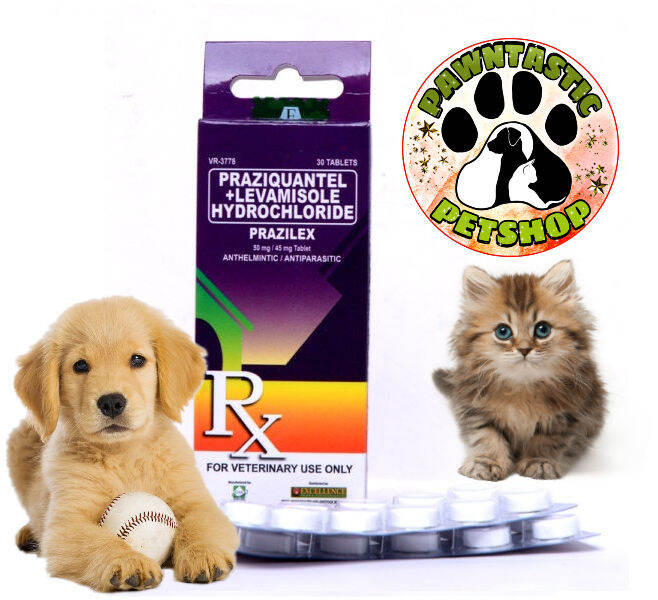 Prazilex 50mg(Dewormer) 1 Tablet Only | Lazada PH