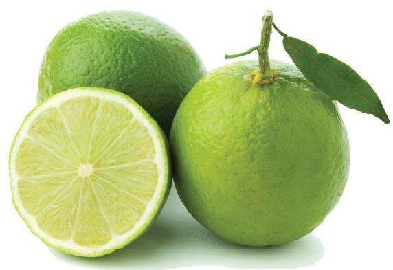 Limau nipis- biji benih/ lime seed | Lazada